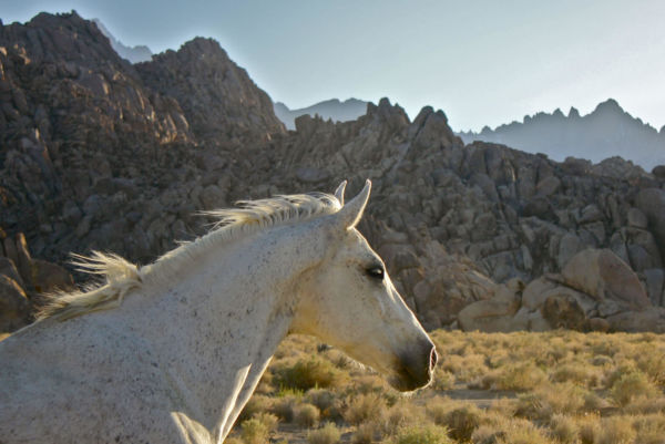 Alabama Hills National Scenic Area – Inyo County Tourism Information ...