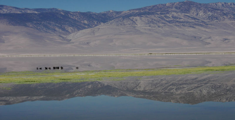 Inyo County Visitor Guide – 12th Edition – Inyo County Tourism ...