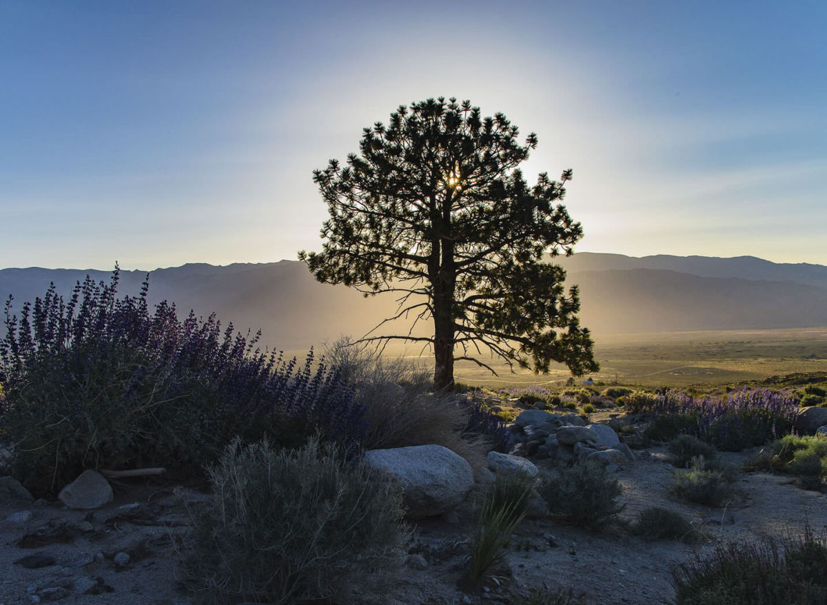 Roadtrippers – Inyo County Tourism Information Center | Inyo County ...