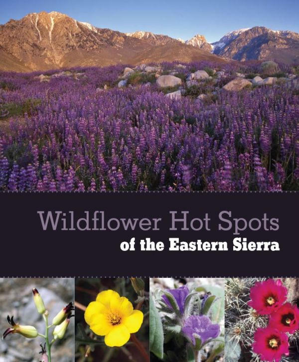 Maps & Guides – Inyo County Tourism Information Center | Inyo County ...